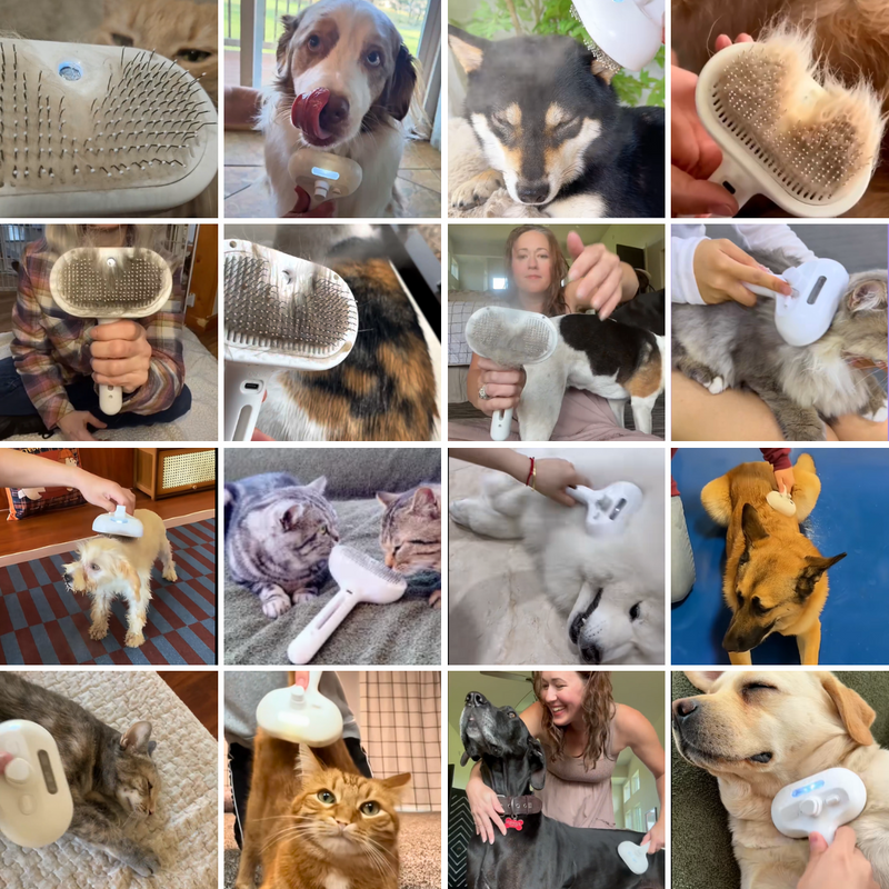 FreshFur™ Mist Brush